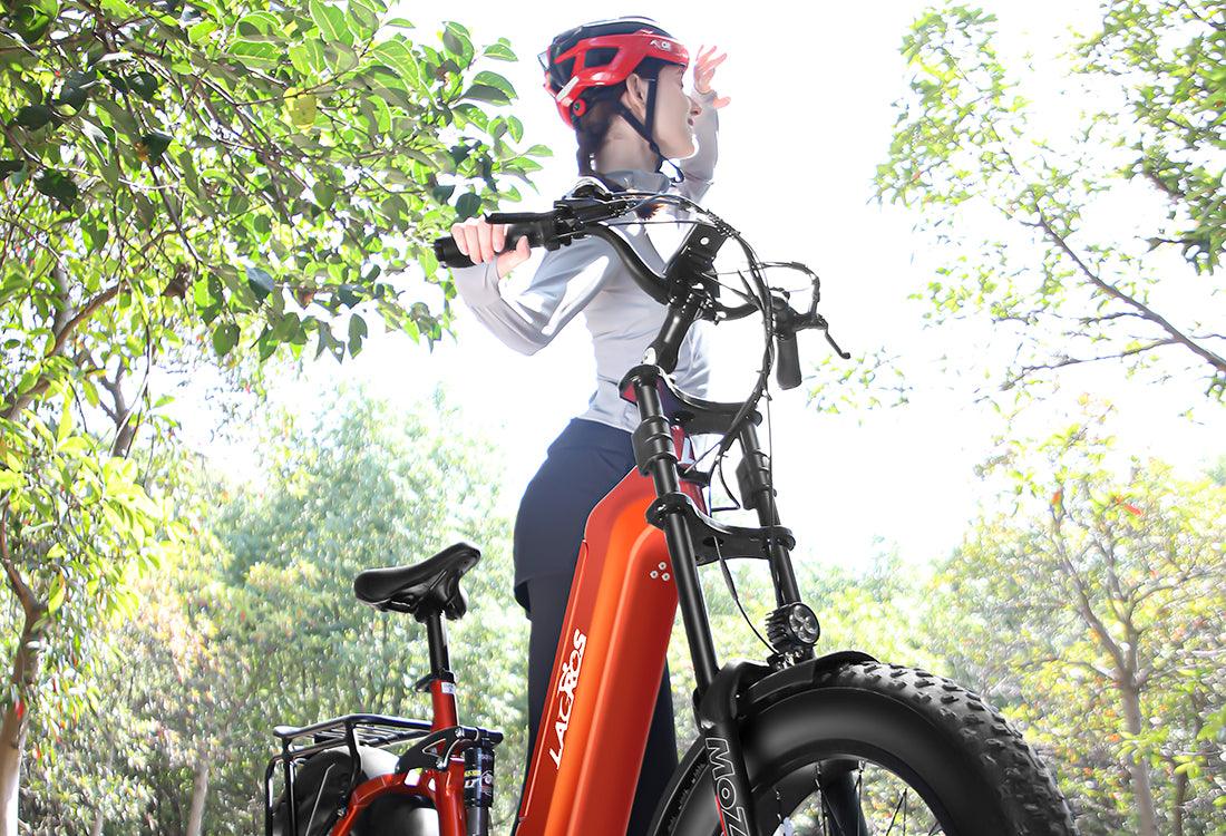 How to maintain an electric bicycle to extend its life - Lacros E-Bike