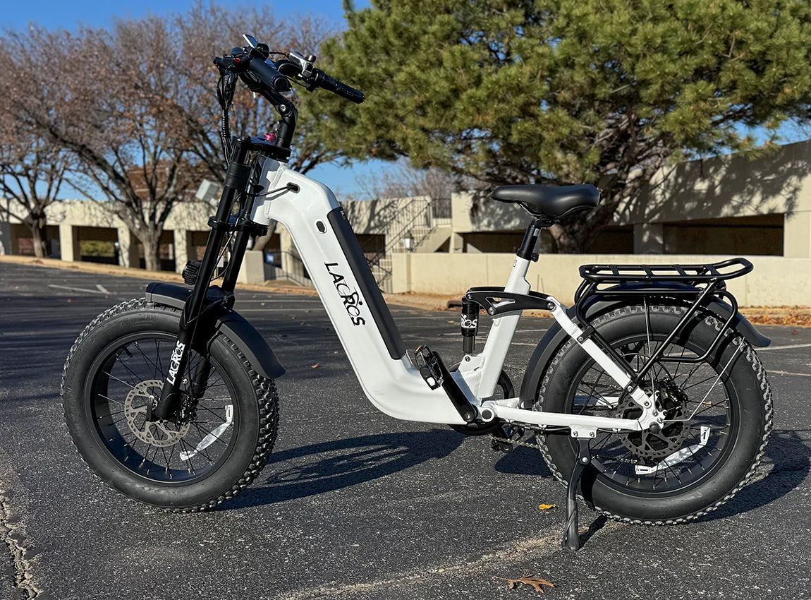 How to Store and Maintain Your Electric Bike Outdoors and During Winte ...