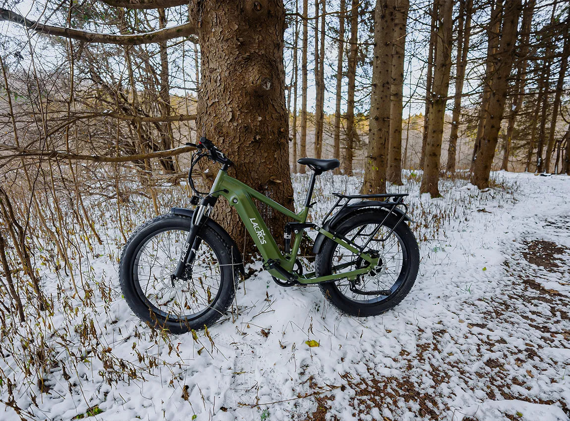 The Best Electric Bikes for Snow: How to Ride Confidently in Winter ...