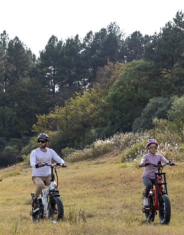 Lacros ebikes - Boutique Electric Bike Shop – Lacros E-Bike